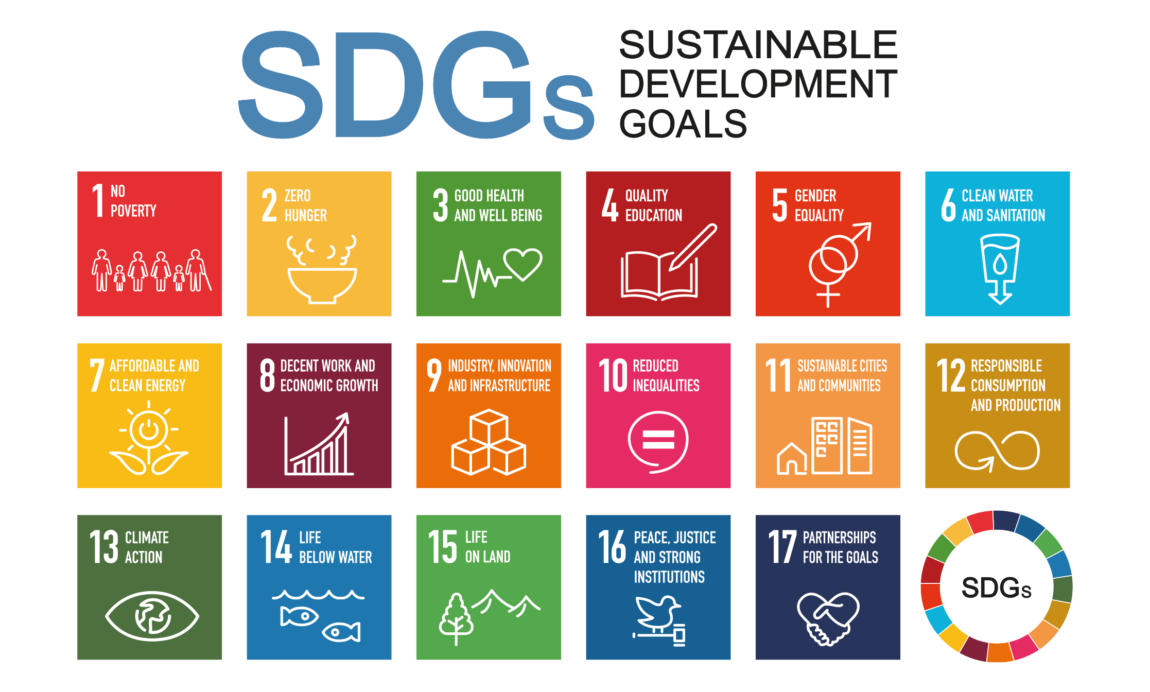 Agenda 2030 – 17 Ziele für nachhaltige Entwicklung - Discuss it